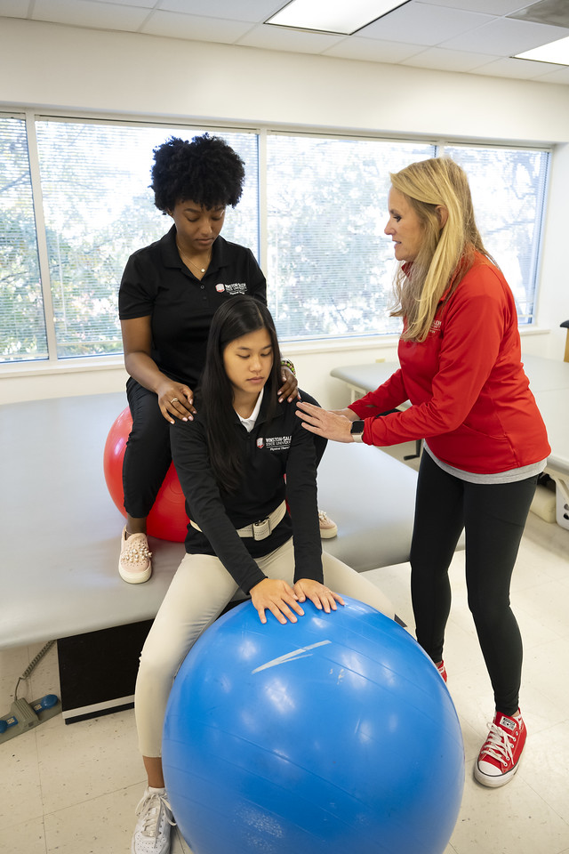 Program: Physical Therapy, DPT - Winston-Salem State University ...